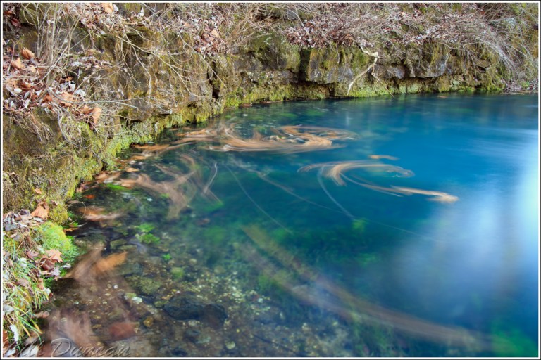 Stone Mill Spring – A Thousand Acres of Silphiums